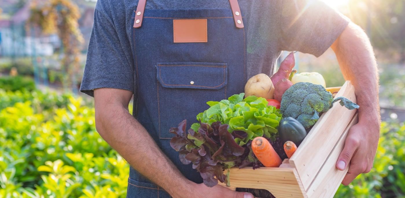 Sustainable food industry: respecting the planet - Done Properly