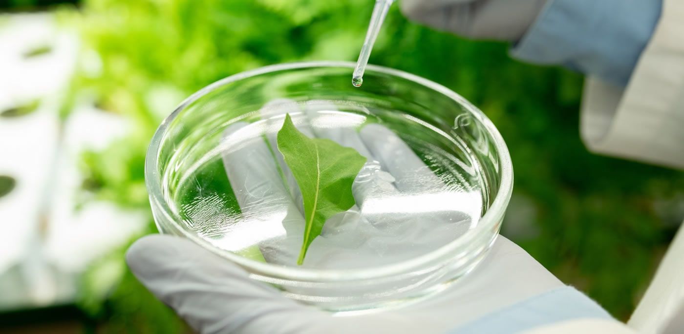 Advantages of fermentation and cell culture for food production - Done ...