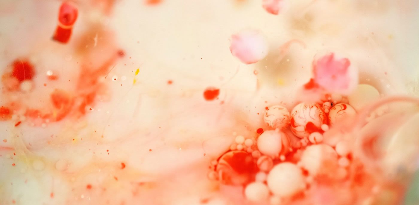 Done Properly and the development of new ingredients for the food of ...